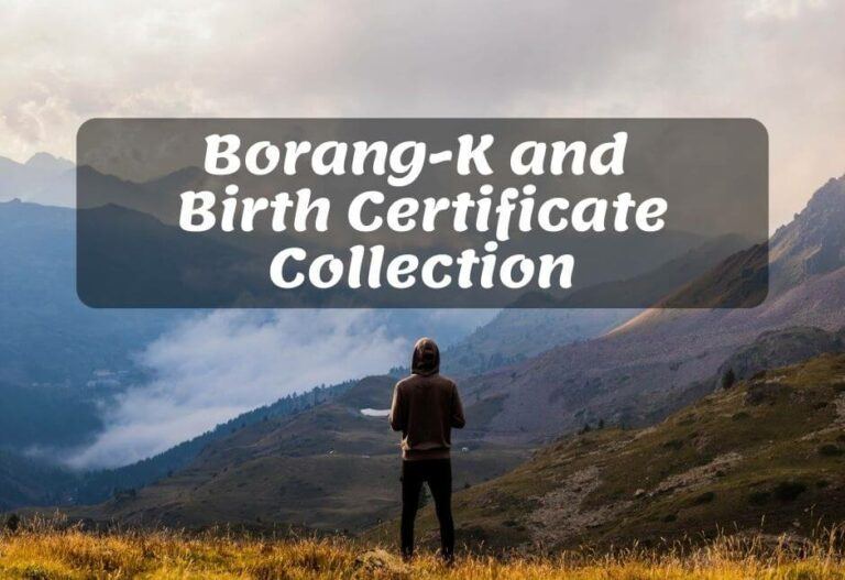 Borang-K and Birth Certificate Collection - Xiong Diary 雄日记