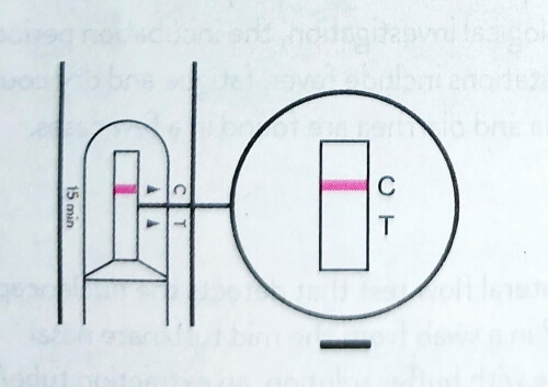 Antigen Rapid Test Self-Test Kit - Xiong Diary 雄日记
